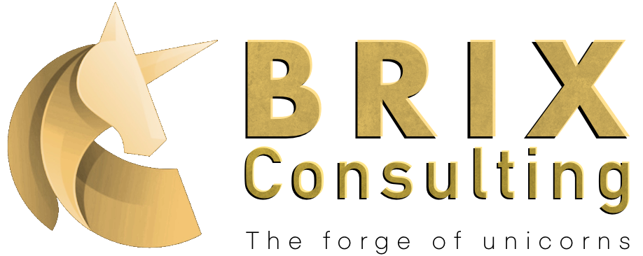 BriX Consulting - The Forge of Unicorns